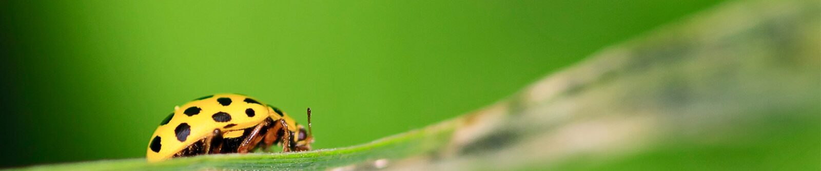 Blog y Noticias